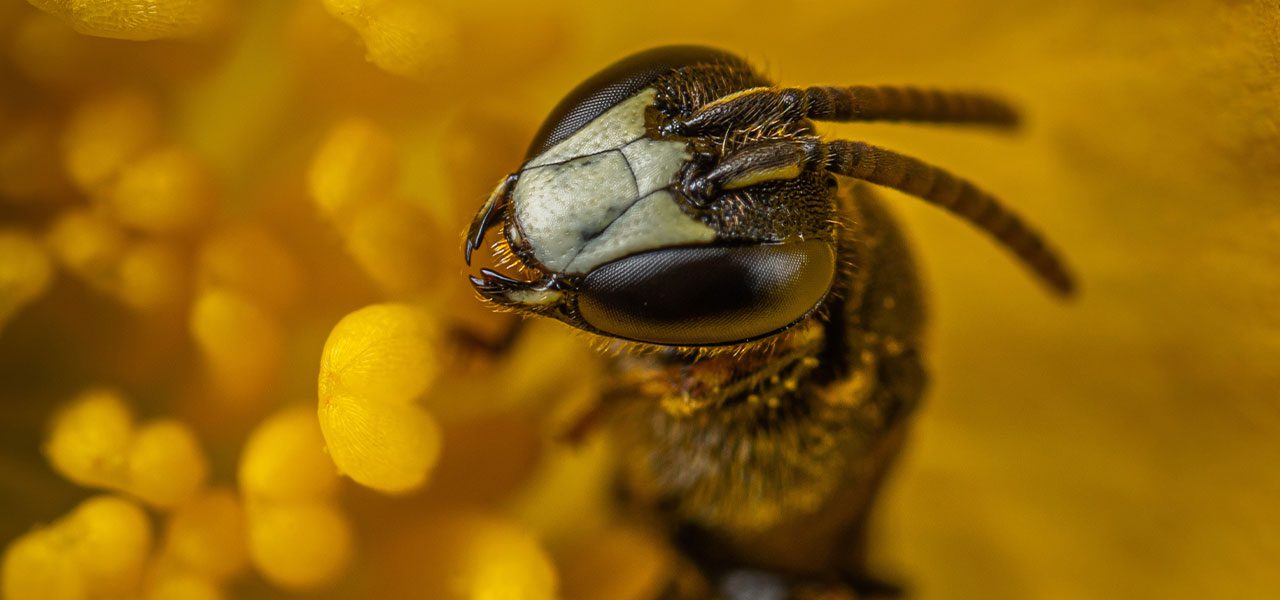 37 Géneros fotográficos que debes descubrir ahora mismo