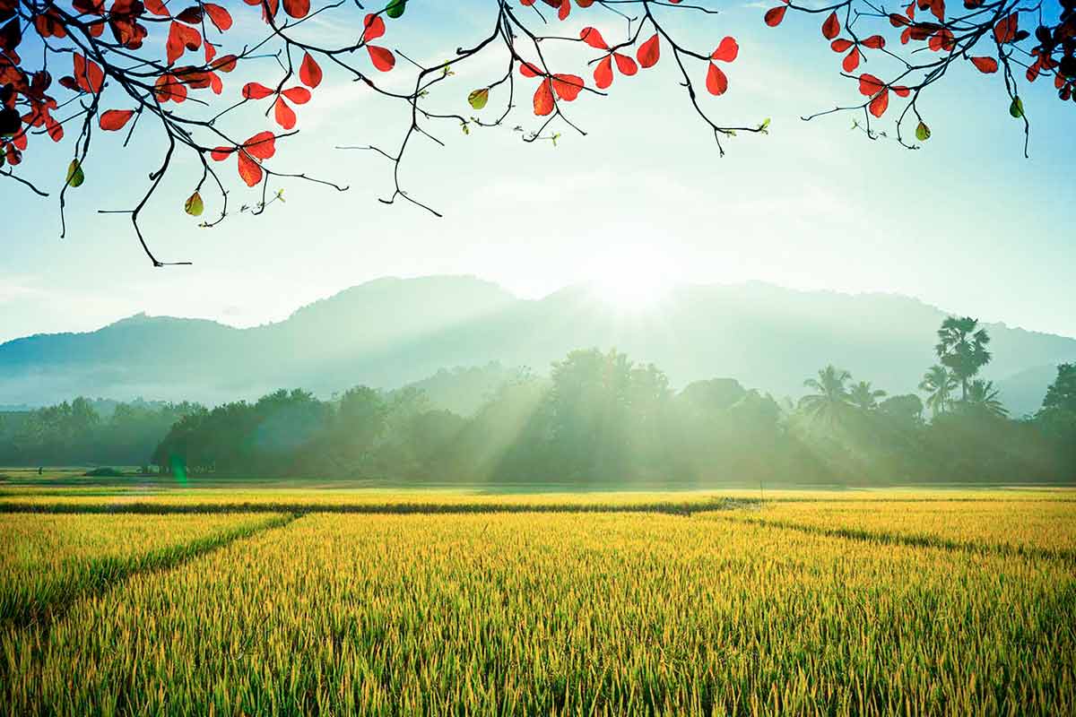 Balance de Blancos en Fotografía: Como Ajustarlo Correctamente 📸