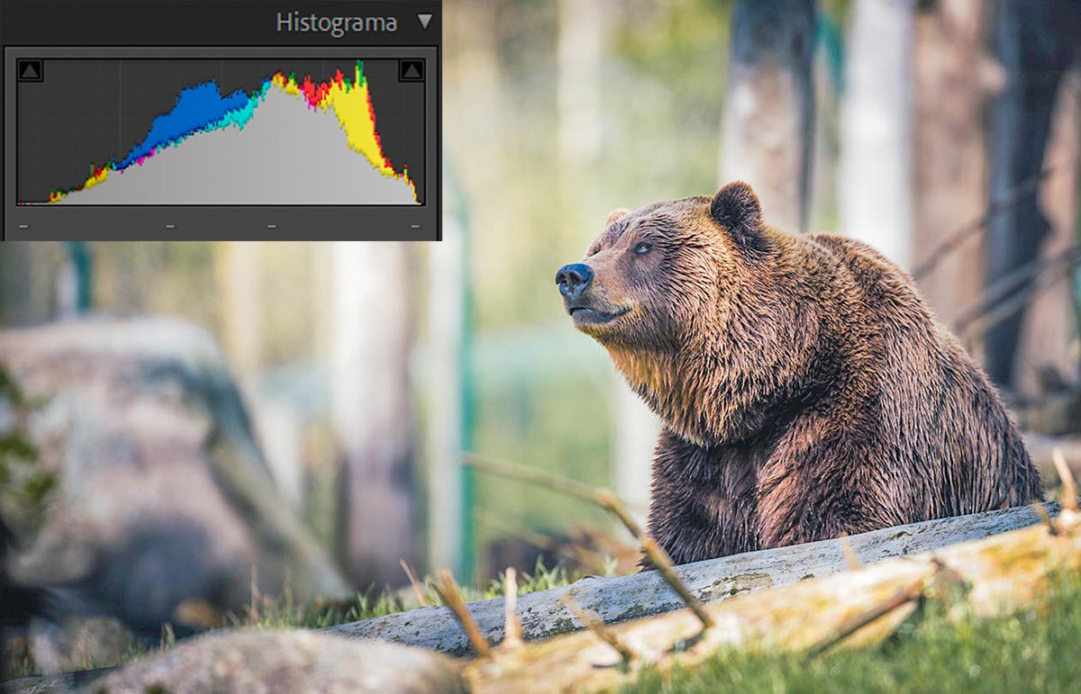 Aprende a usar el histograma y mejora tus fotos 📈📷