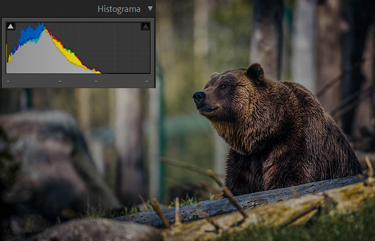 Aprende a usar el histograma y mejora tus fotos 📈📷