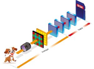 ¿Que es el sensores de imagen? Tipos, Tamaños y mas. 📸